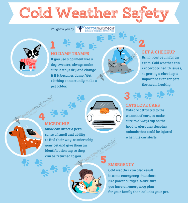10 Cold Weather Pet Safety Tips Ellerslie Pet Hospital Accessories 10 Cold Weather Pet Safety Tips Ellerslie Pet Hospital Accessories